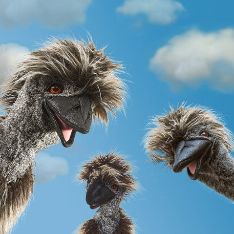 Emu Stage Folkmanis Puppet – Puppets On the Pier